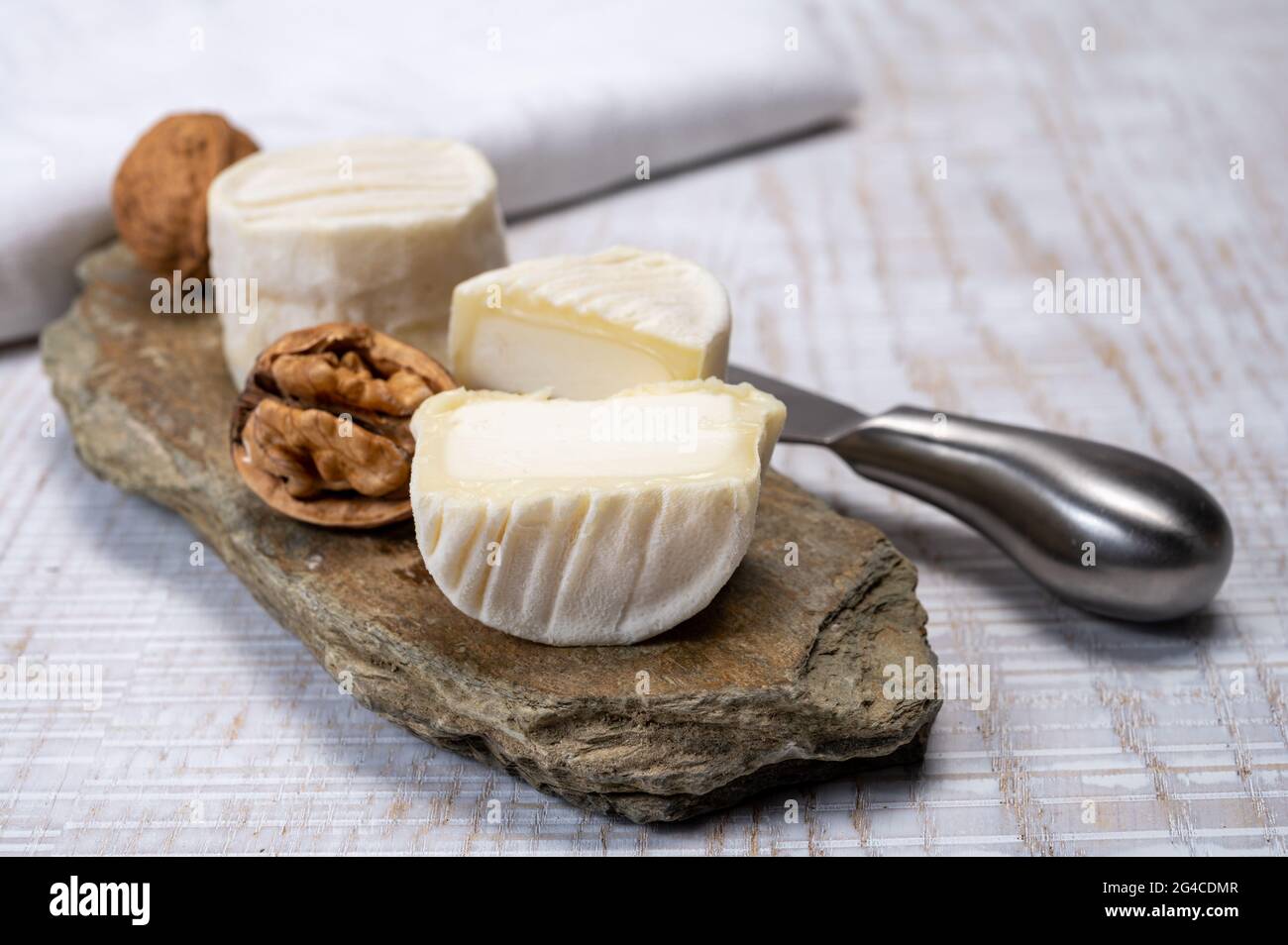 Cheese collection, soft goat French cheese with mold crottin de ...
