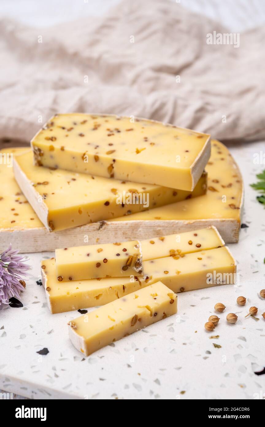 Cheese collection, matured yellow cow cheese with mustard seeds from ...