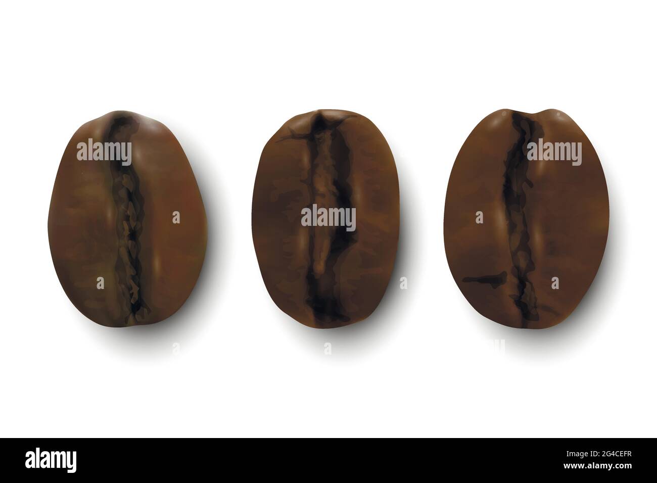 Top view coffee roasting process Stock Vector Images - Alamy