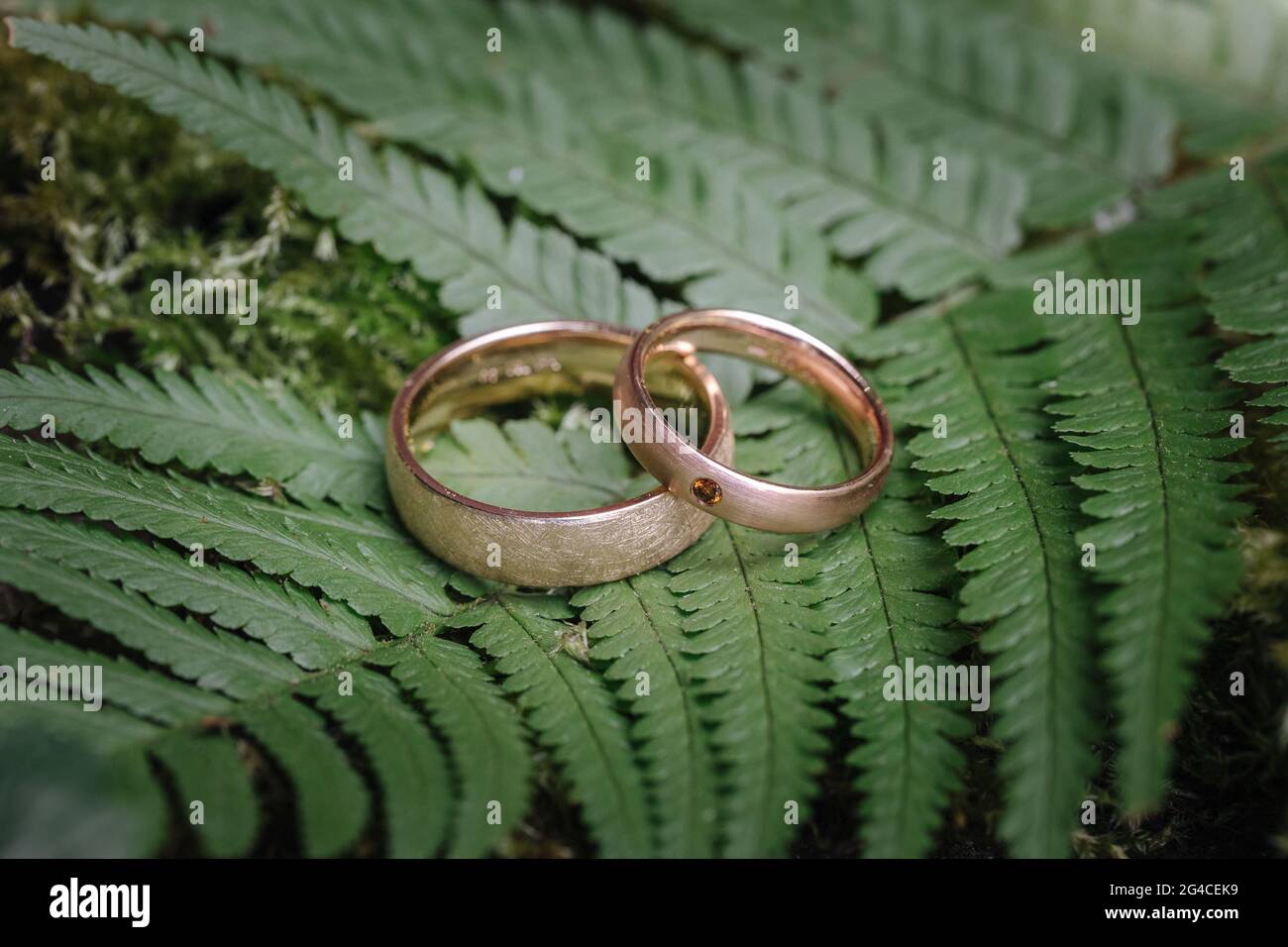 Two wedding rings together hi-res stock photography and images - Alamy
