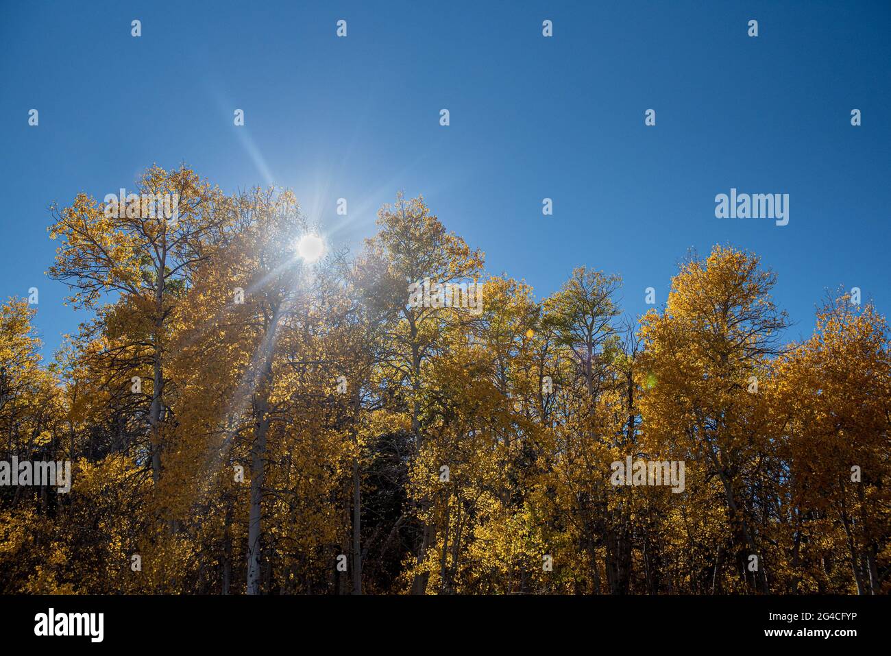 Cluster labeled hi-res stock photography and images - Alamy