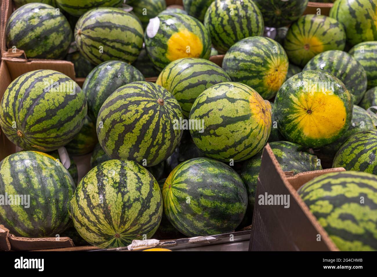 Close up view of watermelons on shelf of supermarket. Sweden Stock ...