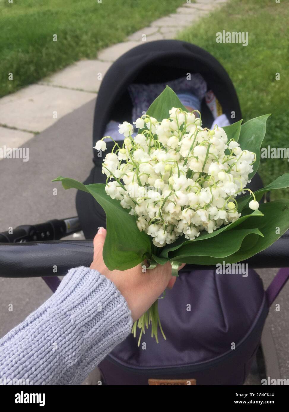 Delicate bouquet lily valley hi-res stock photography and images - Alamy