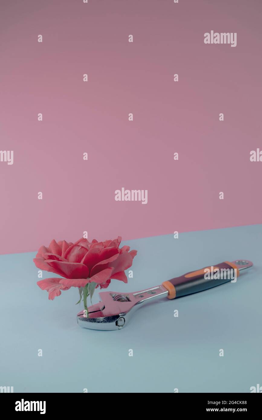 Adjustable wrench tool holding rose flower on trendy pastel pink and ...