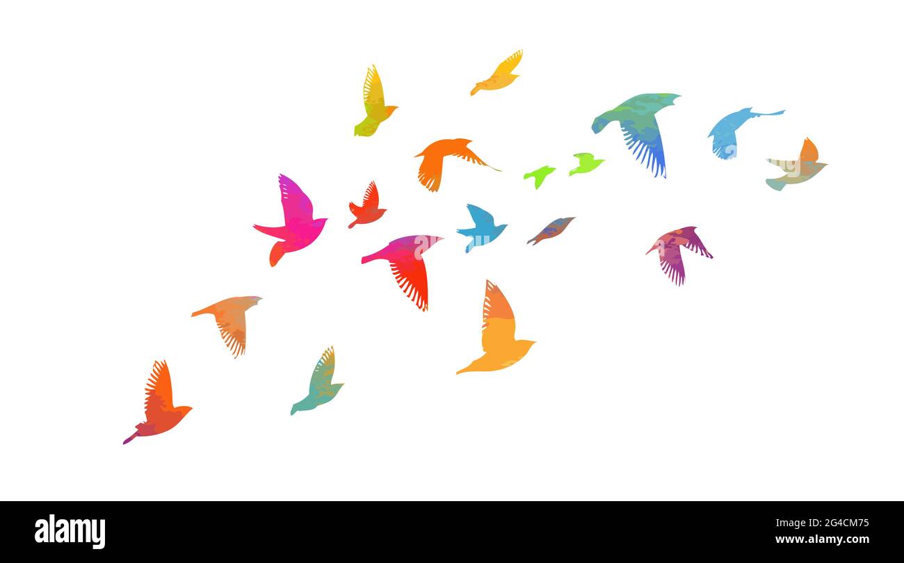 A flock of colorful birds. Vector illustration Stock Vector Image & Art ...