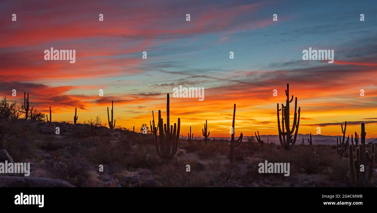 Desert Sunset Landscape in Arizona Stock Photo - Alamy