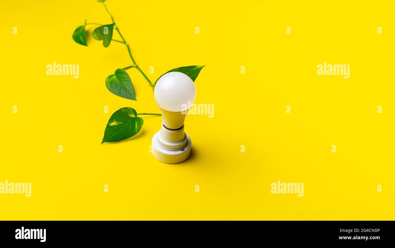 eco friendly power source, the light bulb and green branch with leaves ...