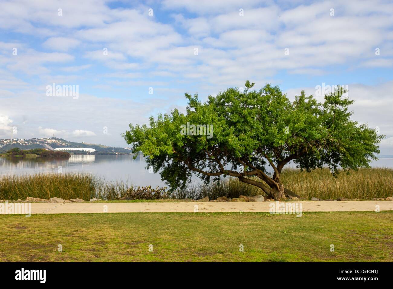 Porto park stadium hi-res stock photography and images - Alamy