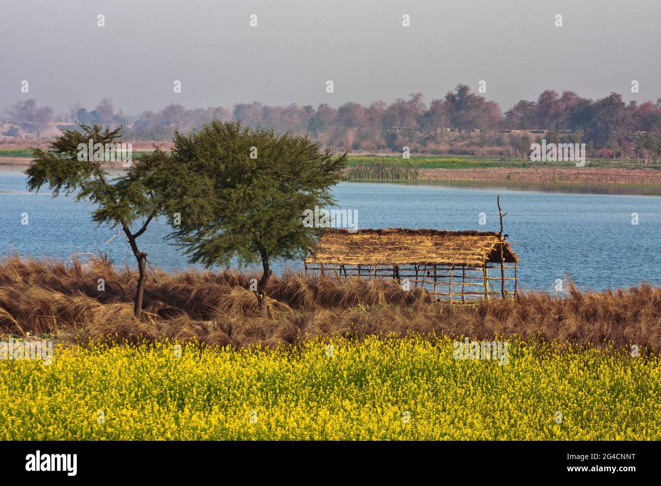 A beautiful landscape with a hut by the lake in Punjab, Pakistan Stock ...