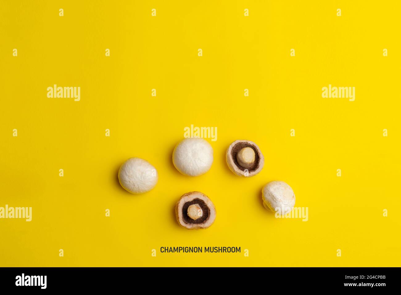 simple mushroom champignon, raw sliced pieces, creative flat lay layout ...