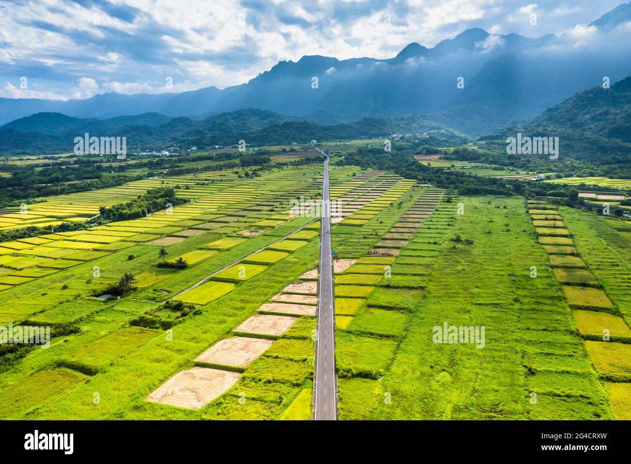 Aerial view of beautiful terraced rice field and road .Taitung ,Taiwan ...