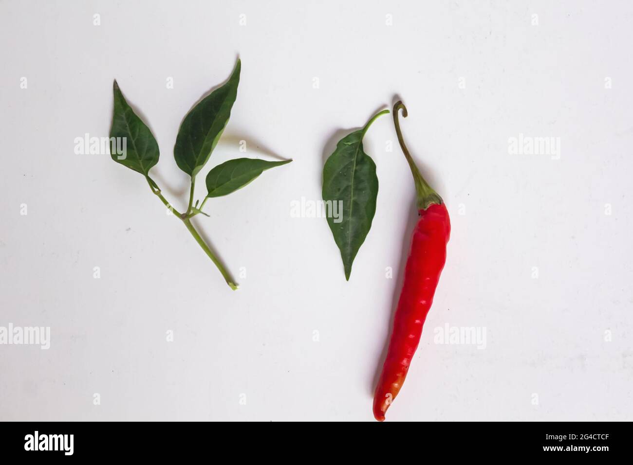 Isolated chilli chili restaurant hi-res stock photography and images ...