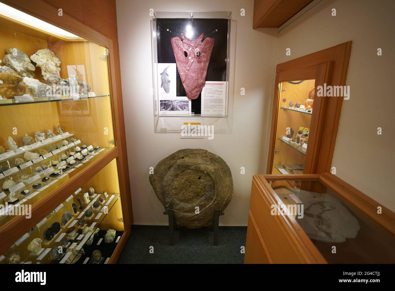 Helgoland, Germany. 15th June, 2021. Geological finds and fossils are ...