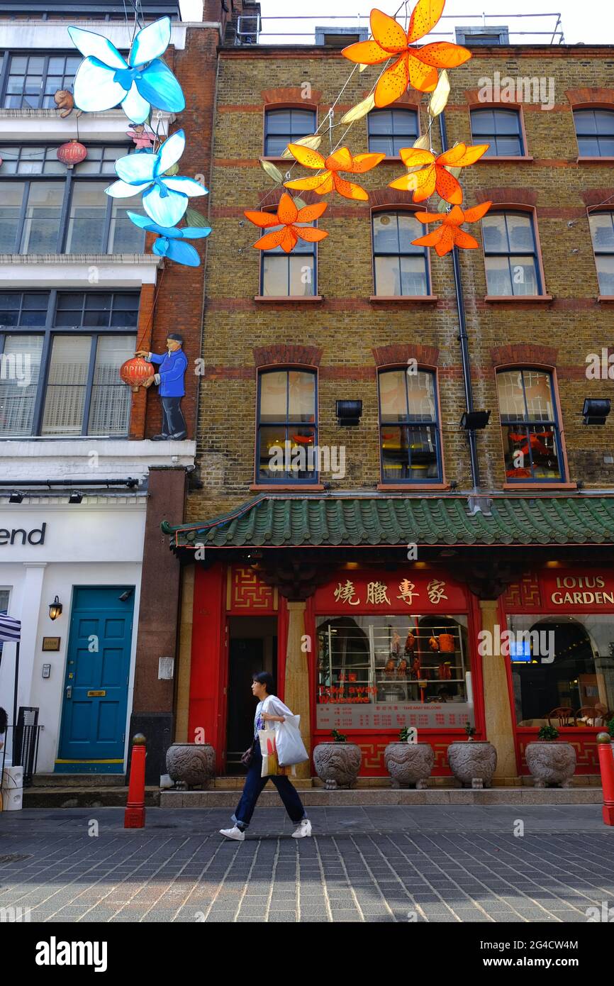 A 'Botanical Garden' with seven types of handmade silk flowers, go on ...