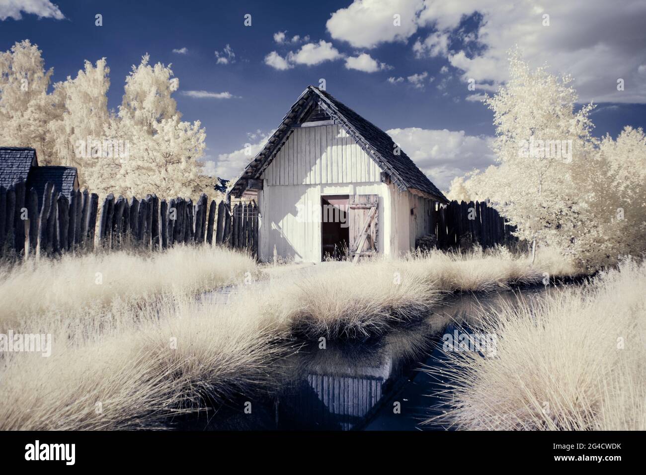 Infrared landscape with glowing white vegetation using 720nm filter ...