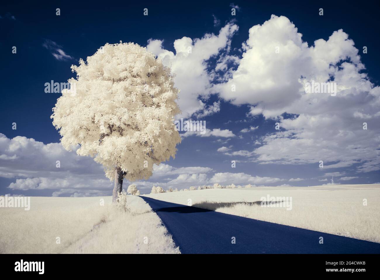 infrared photography - surreal ir photo of landscape with trees under ...