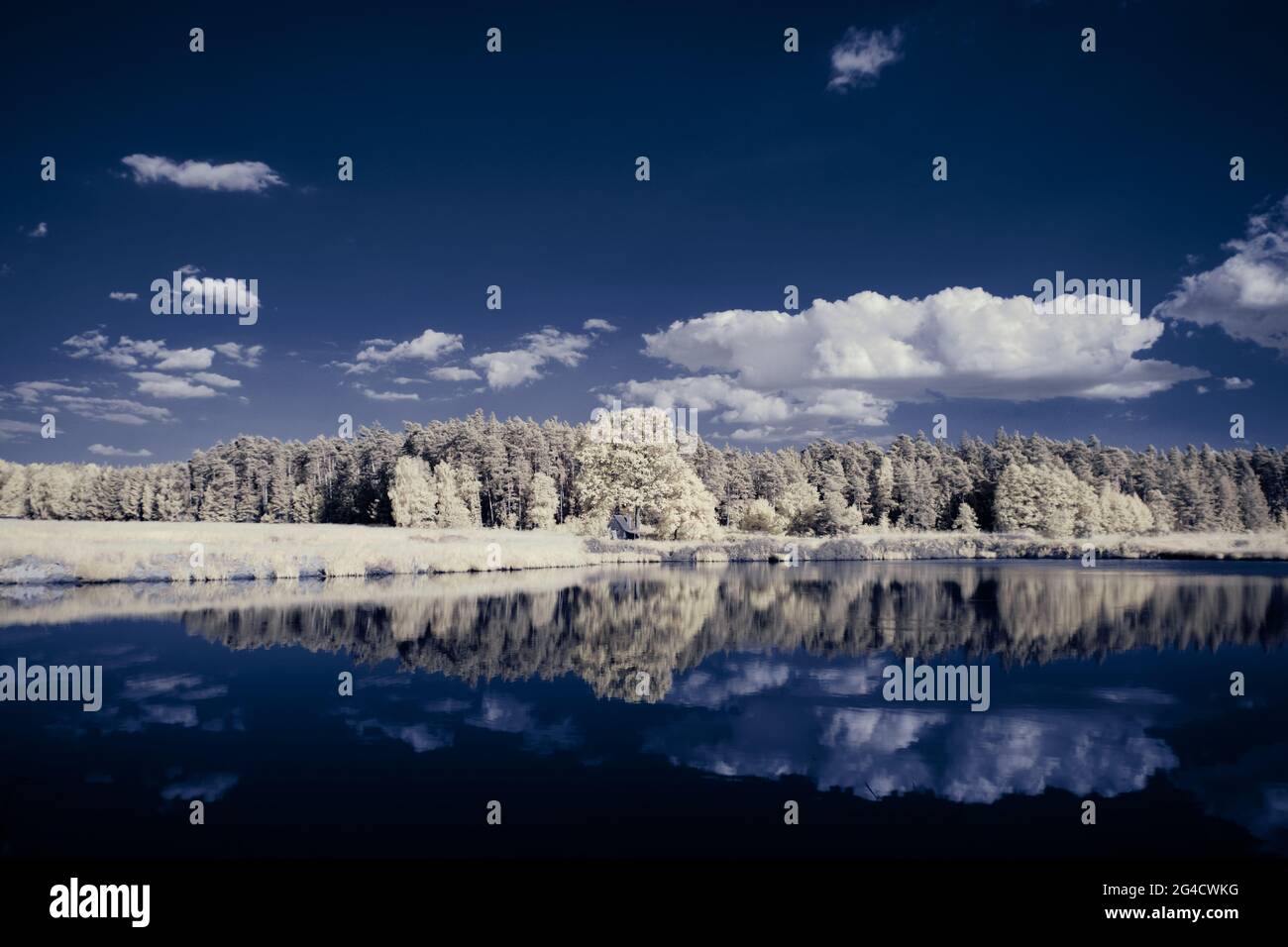 Infrared landscape with glowing white vegetation using 720nm filter ...