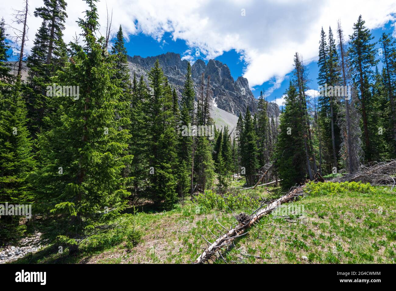 Blue sky, green trees and the crags in State Forest State park Stock ...