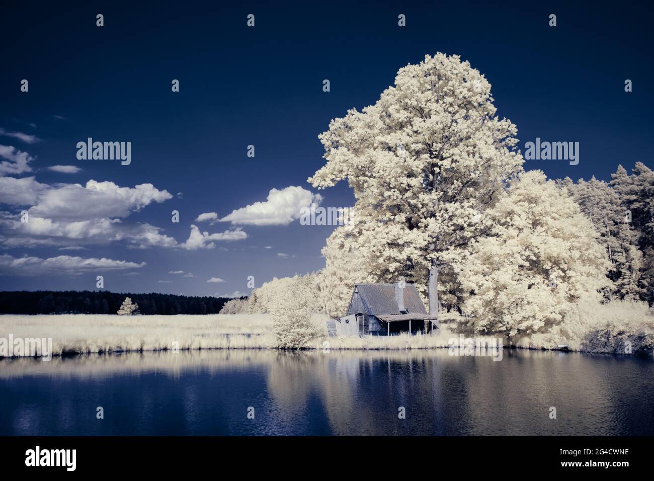 Infrared landscape with glowing white vegetation using 720nm filter ...
