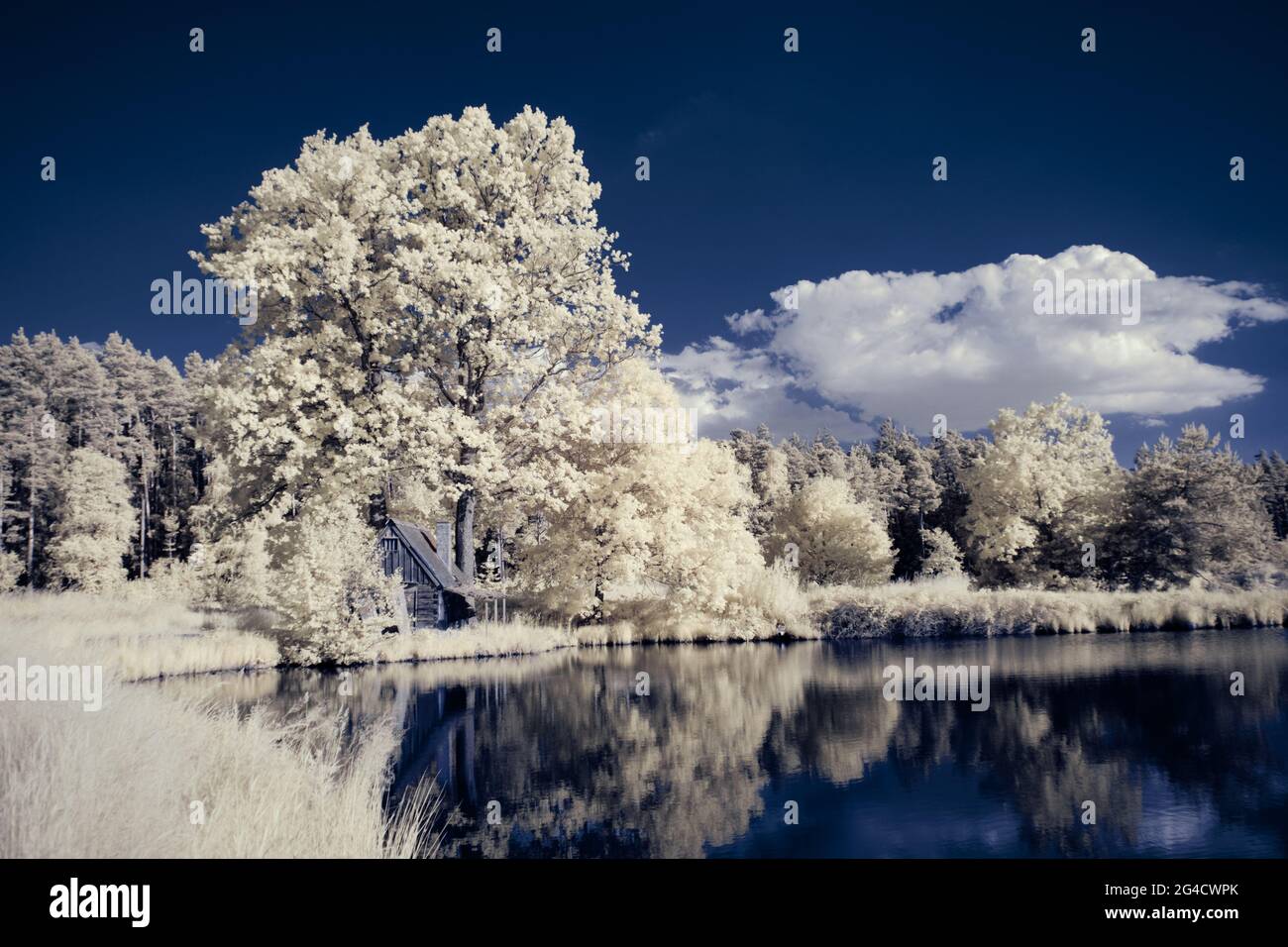 Infrared landscape with glowing white vegetation using 720nm filter ...