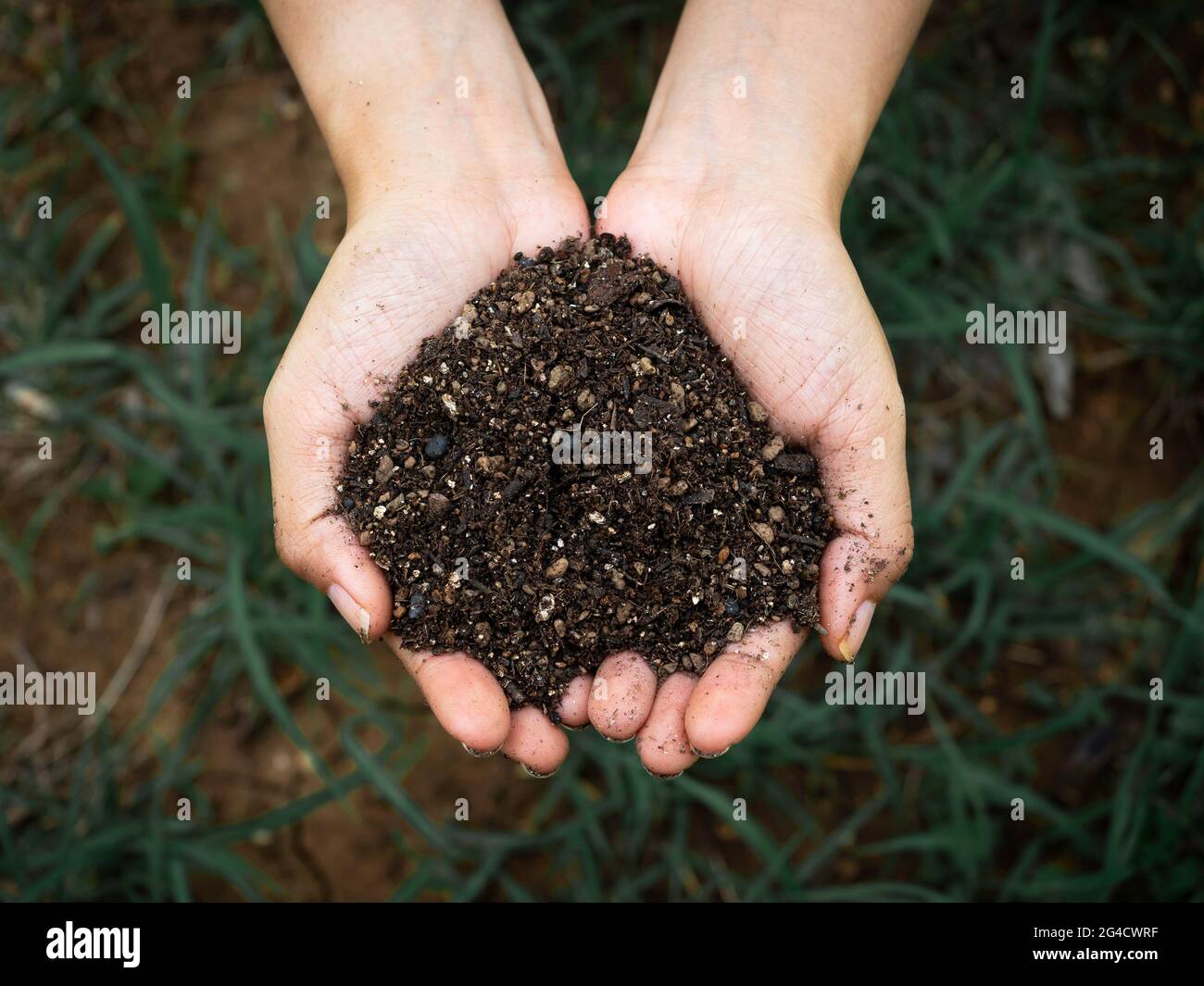 Hand soil test hi-res stock photography and images - Alamy