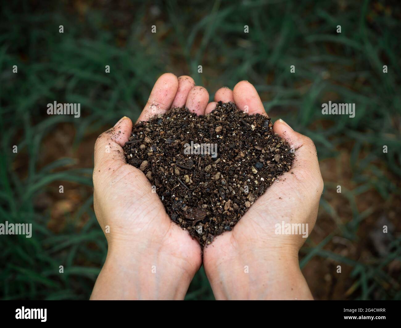 Ecology concept. Close up female hand holding organic soil full of ...
