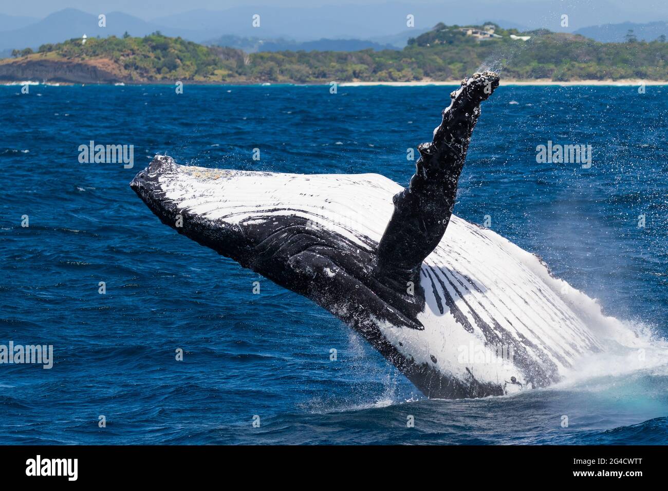 Tweed heads cook island hi-res stock photography and images - Alamy