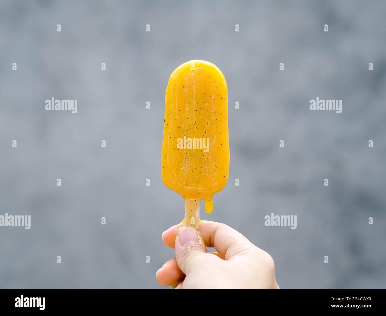 Yellow popsicle in woman hand on grey wall background, melting ...
