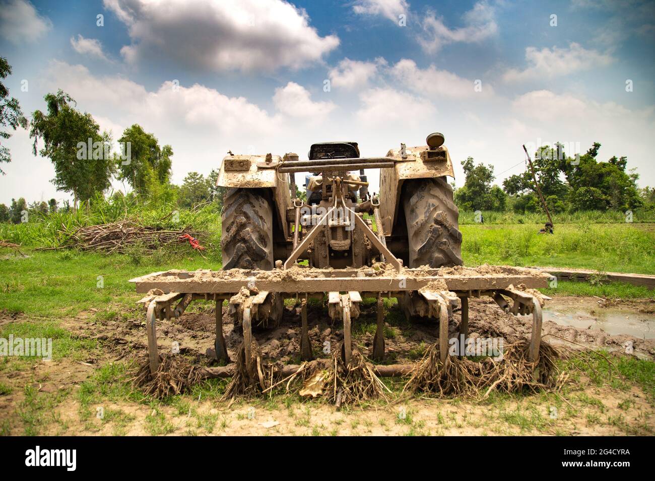 Tractor standing in Paddy Farm land. Agricultural Landscape view in ...