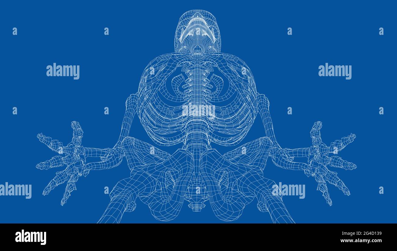 Human skeleton. Vector Stock Vector Image & Art - Alamy