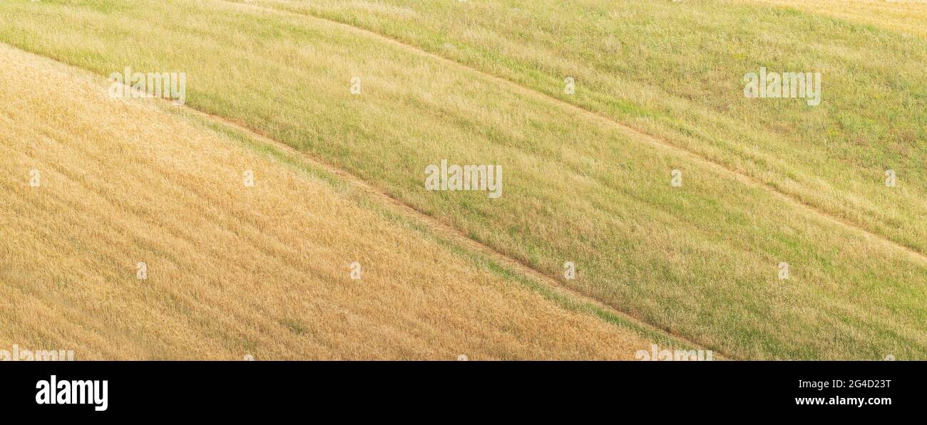 Cultivated farm fields background texture Stock Photo - Alamy