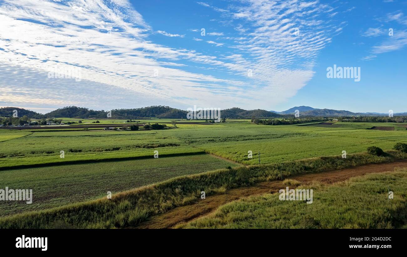 Cane farming town hi-res stock photography and images - Alamy