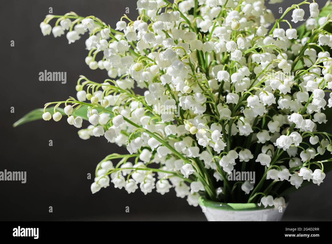 Bouquet of may lilies of the valley on a black background. High quality ...