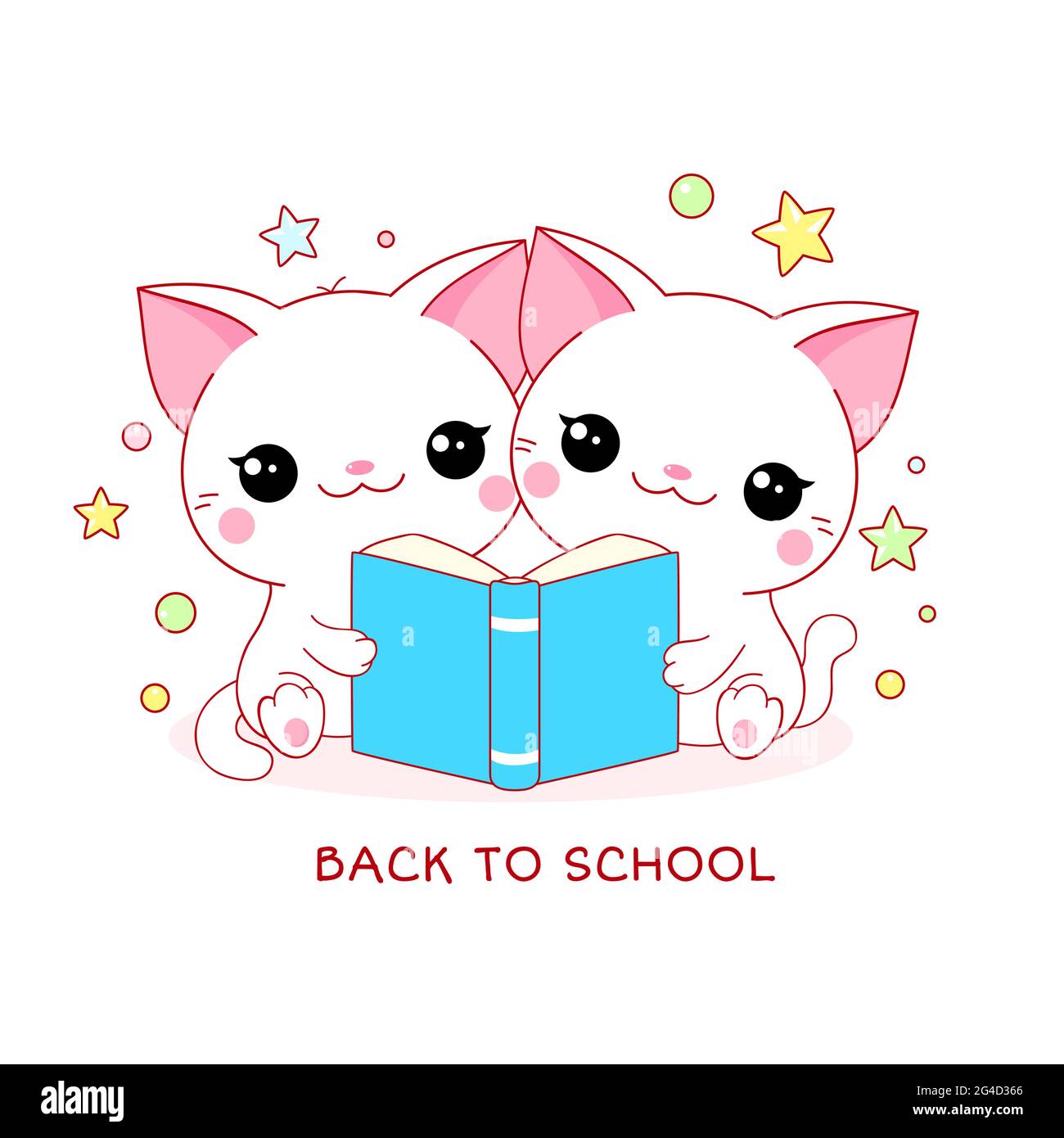 Back To School Cat