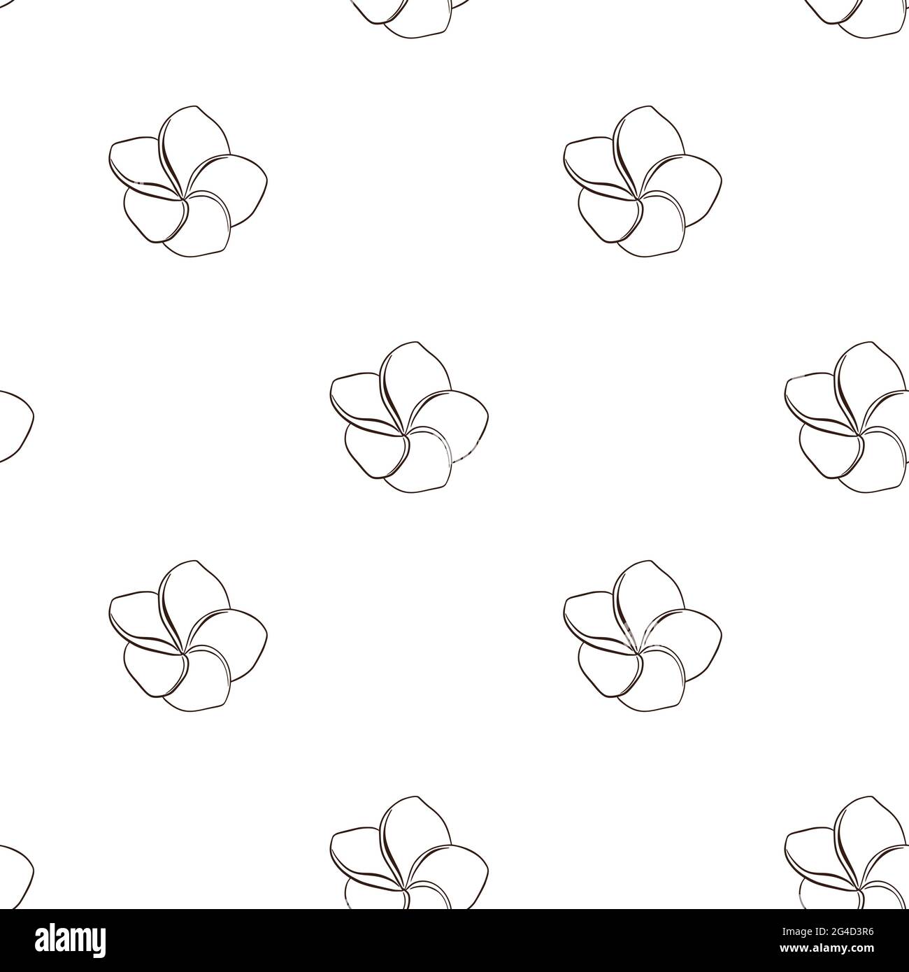 Hand drawn frangipani flower background. Tropical Flower illustration ...