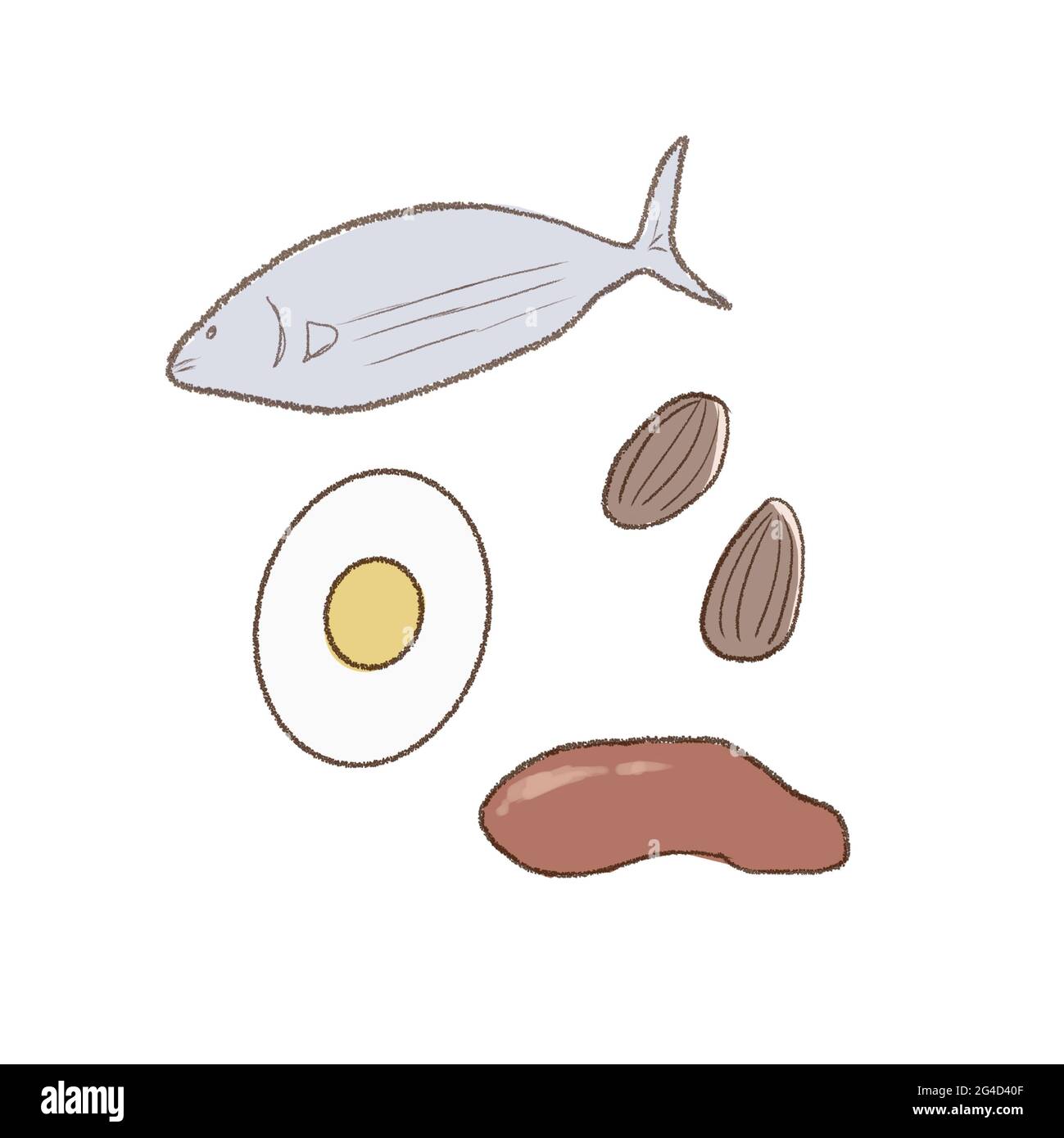Ingredients containing B vitamins. Cute and simple art style. On a ...