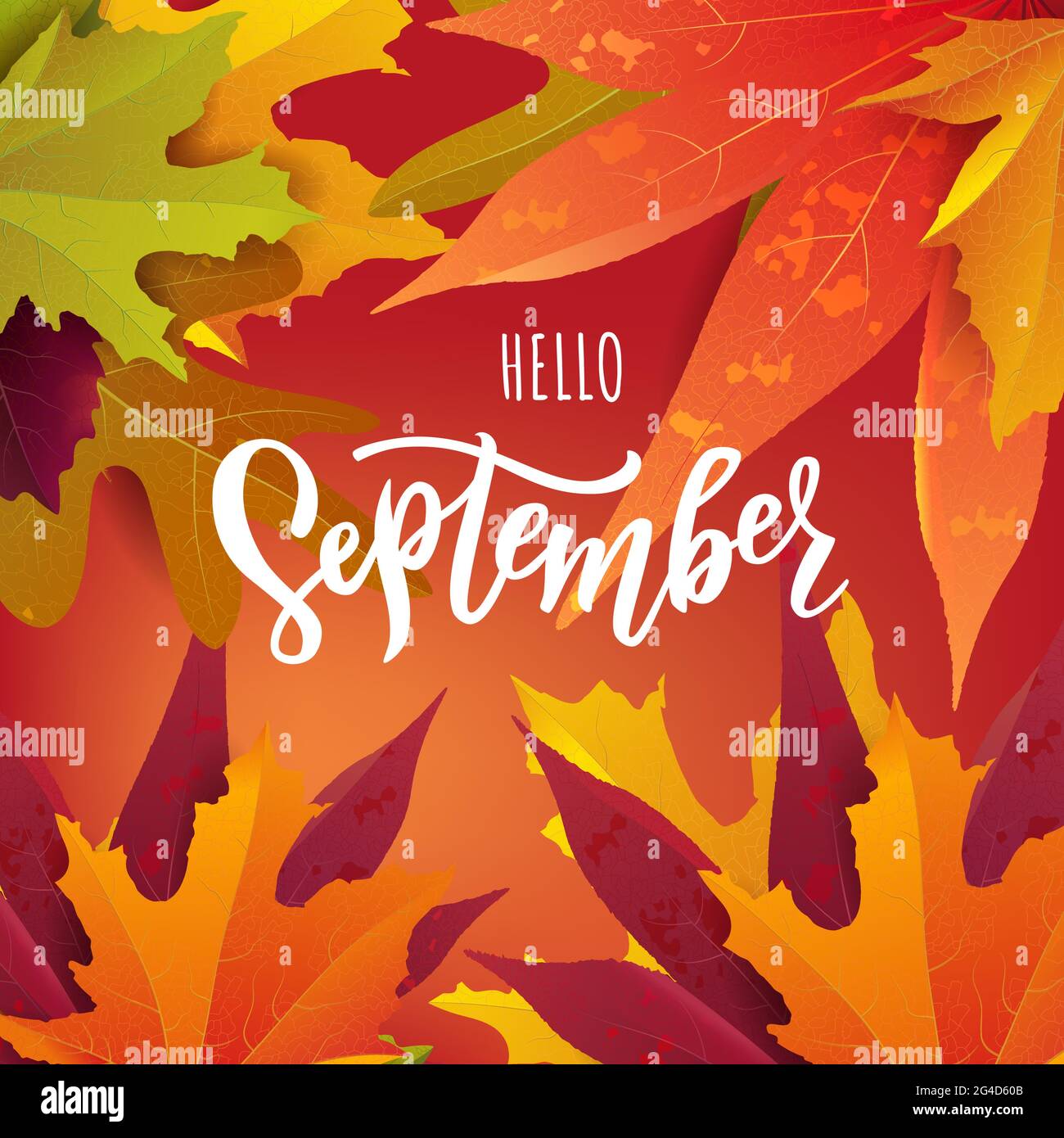 September text. Hand lettering typography Stock Vector Image & Art - Alamy