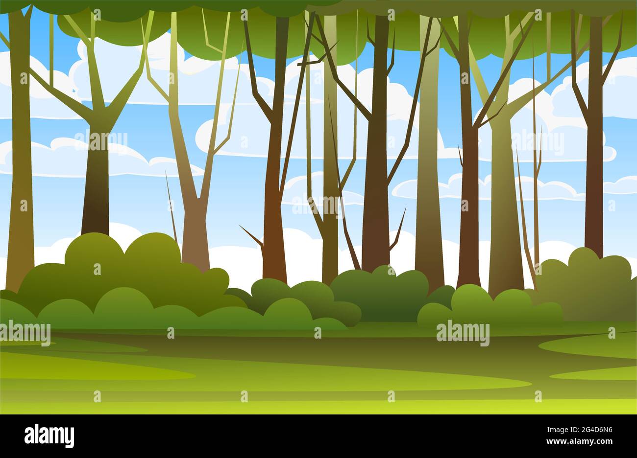 Forest trees background. Glade in the thicket. Sky. Beautiful green ...