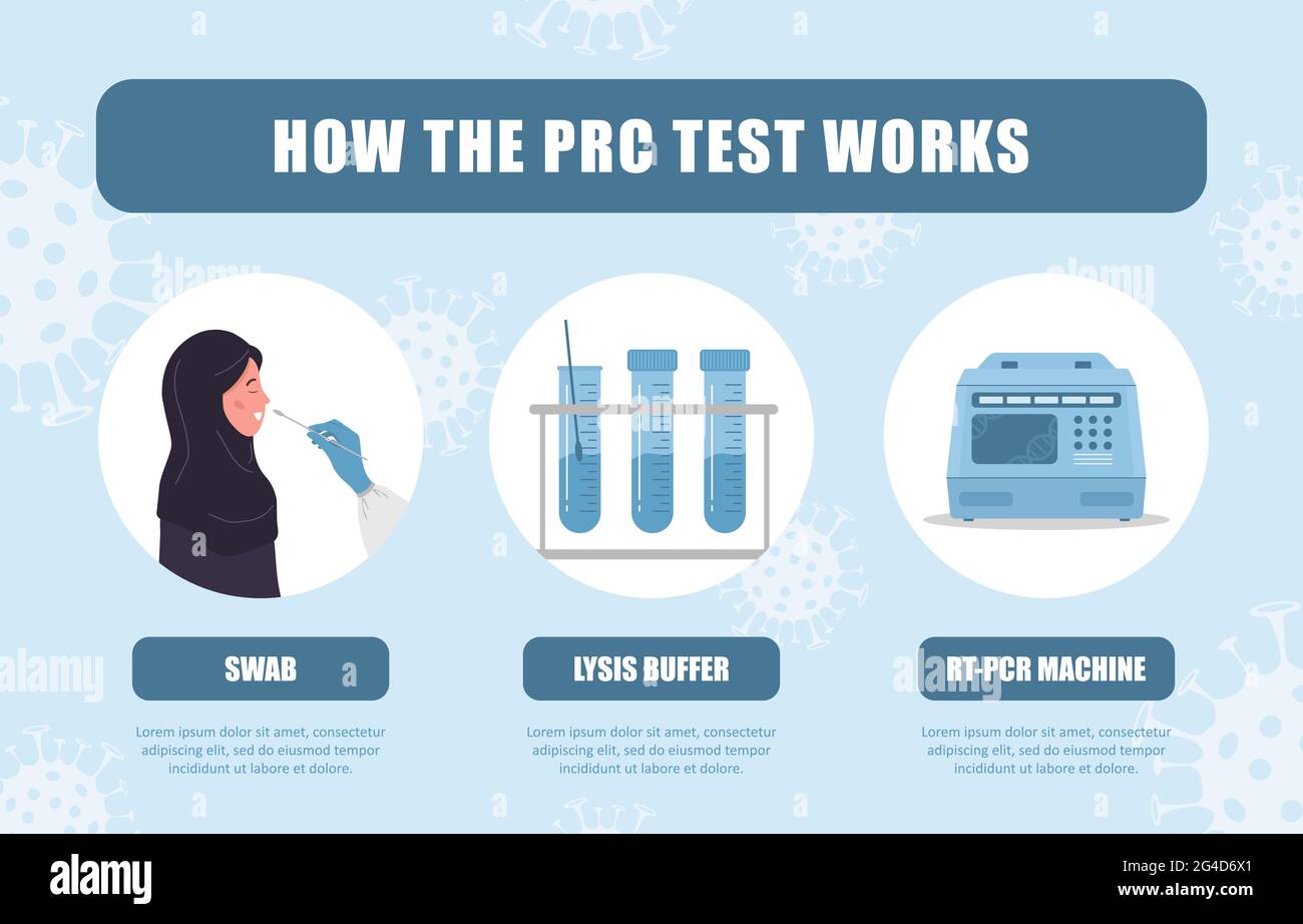 How PCR test works. Nasal swab laboratory analysis of biomaterial ...