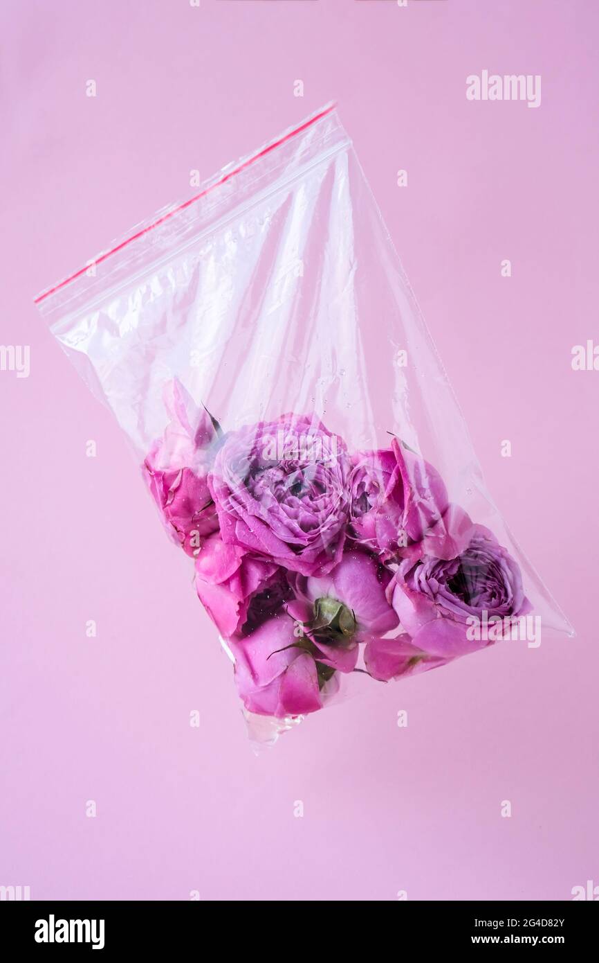 Environmental pollution concept. Flower in a plastic bag. Danger ...