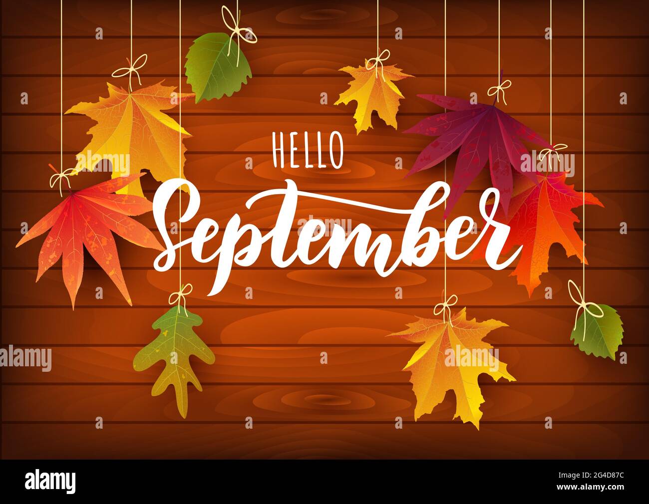 September text. Lettering typography. Vector illustration Stock Vector ...