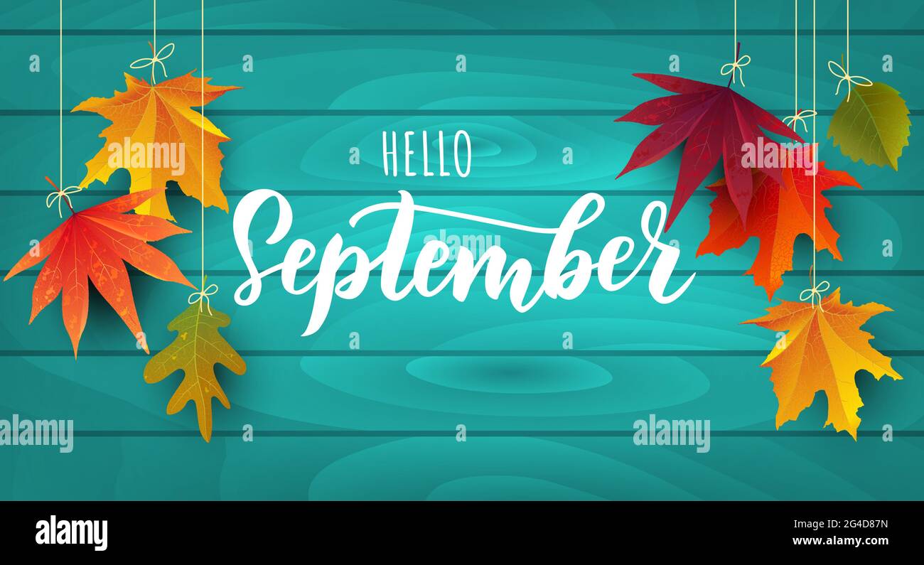 September text. Lettering typography. Vector illustration Stock Vector ...