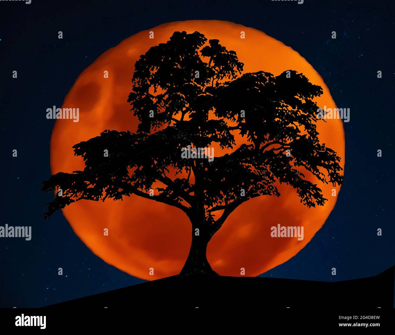 Full blood moon with southern cross stars in background as silhouette ...