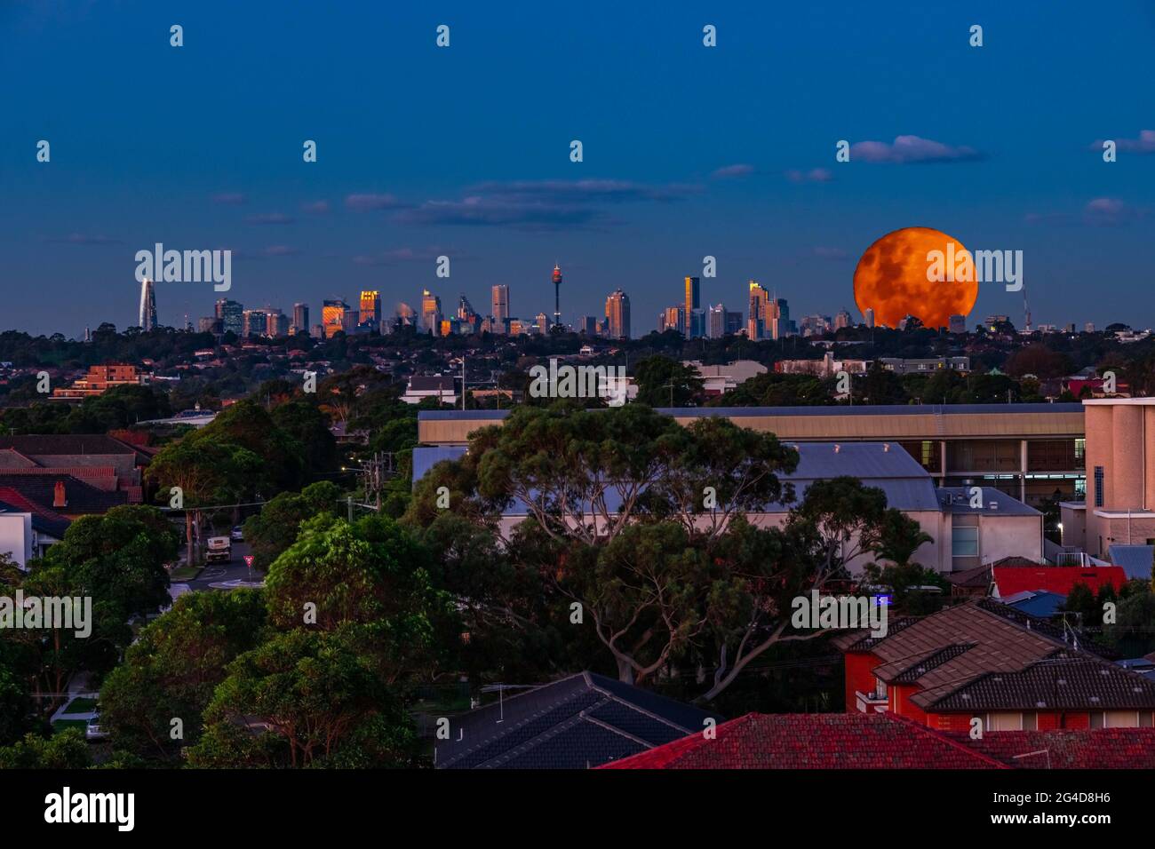 Large orange moon rising behind Sydney CBD buildings NSW Australia ...