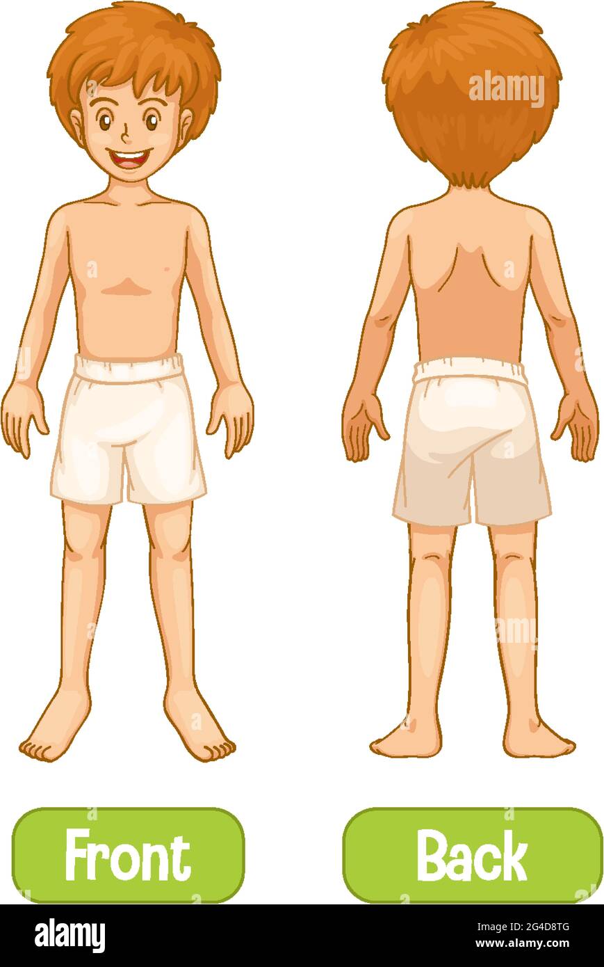Opposite words with front and back of young man illustration Stock ...