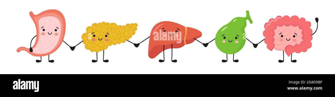 Gastrointestinal tract organs kawaii characters hold hands. Smiling ...