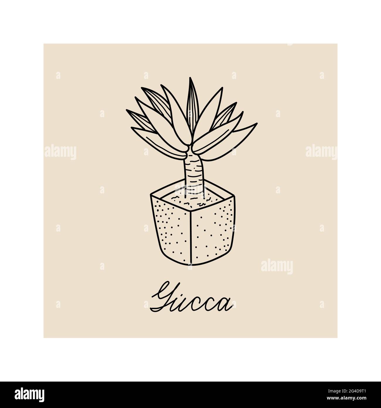 Yucca bloom Stock Vector Images - Alamy