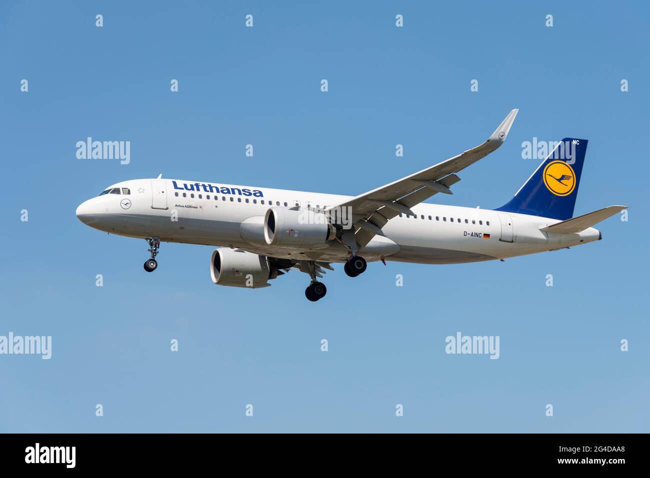 Lufthansa Airbus A320NEO airliner jet plane D-AINC coming in on finals ...