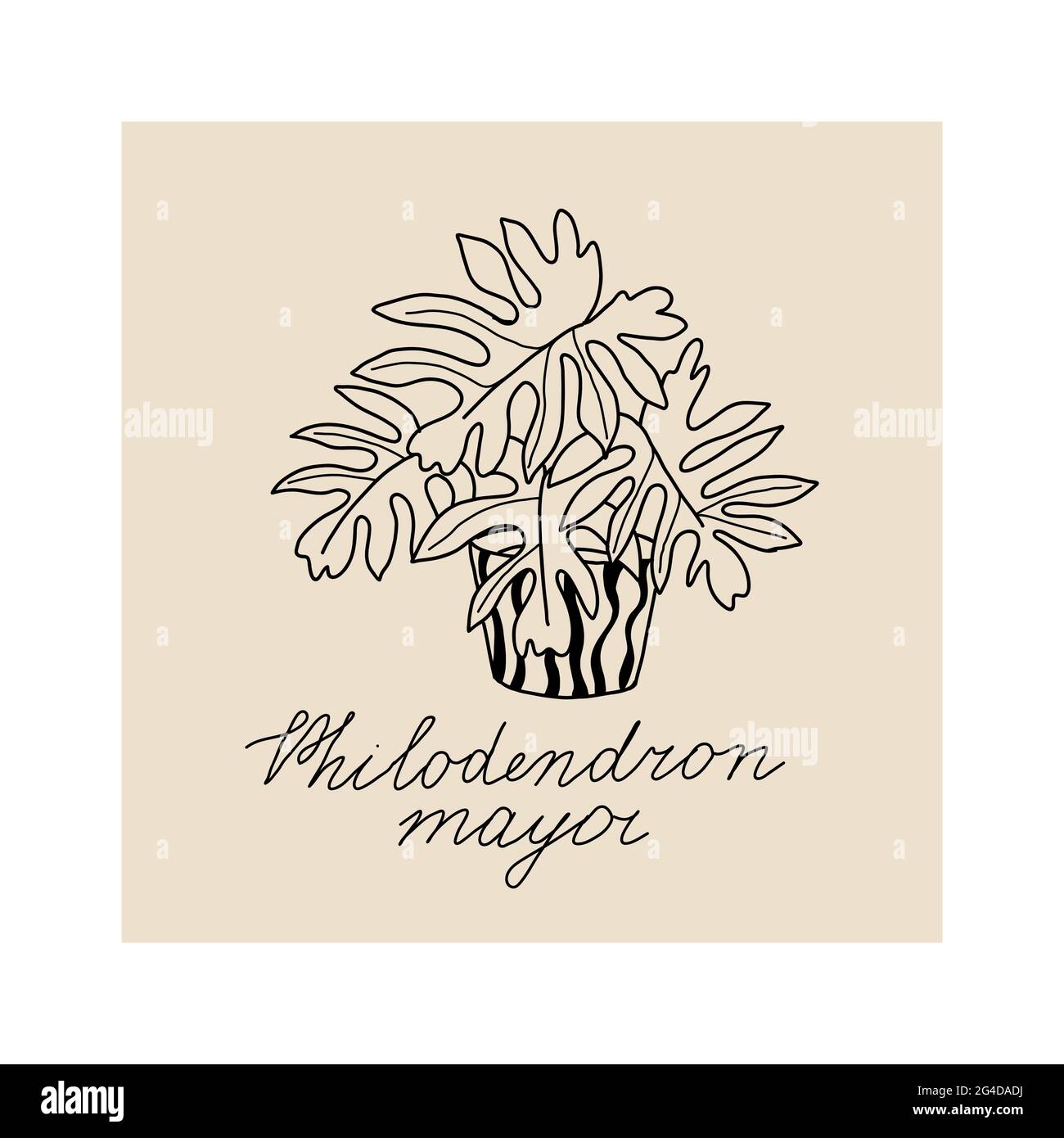 Line drawing flower pot Stock Vector Images - Alamy