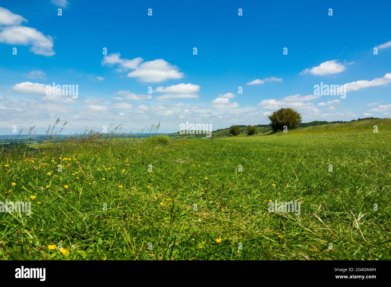 Pitstone Hill, The Ridgeway, Chilterns Stock Photo - Alamy